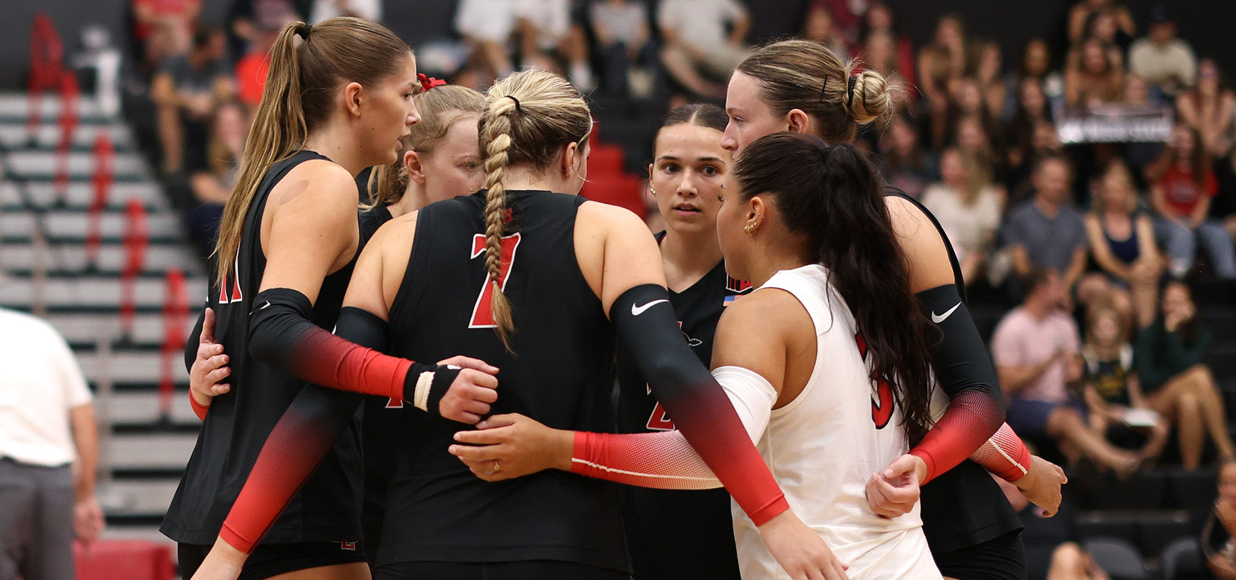 Aztecs vs. Utah State: MW Volleyball Recap - News Usa Today