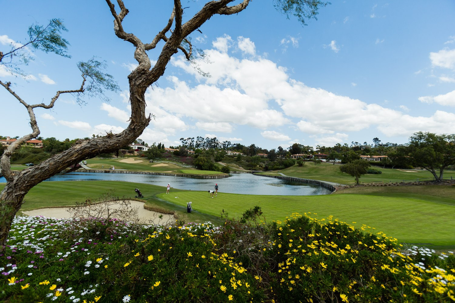Women's Golf Announces 2018-19 Schedule - San Diego State Aztecs