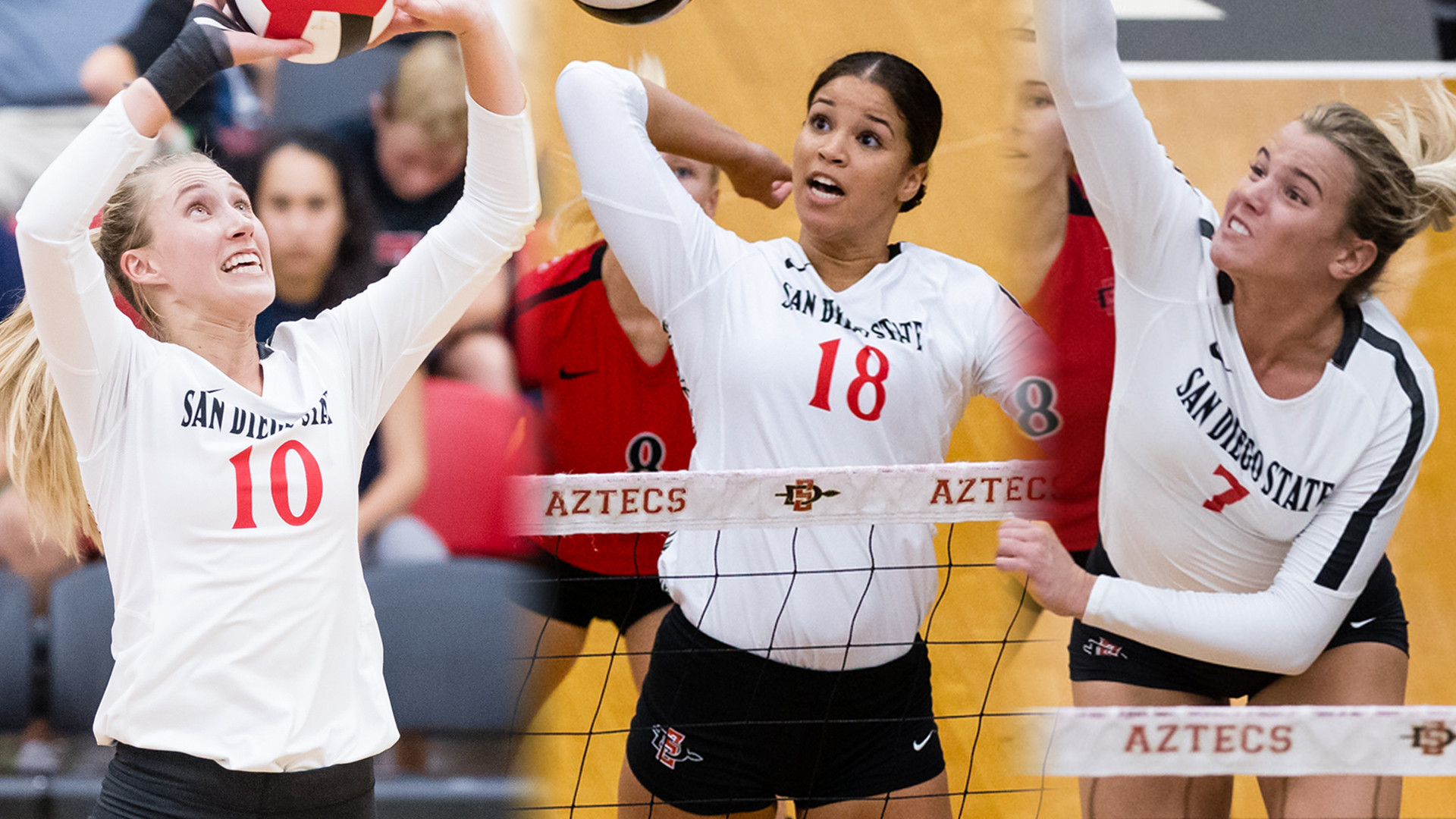 Volleyball Nets Three All-Mountain West Honors - San Diego State Aztecs